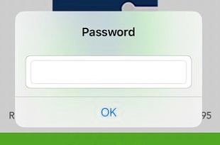 ELD iOS: DOT Inspection